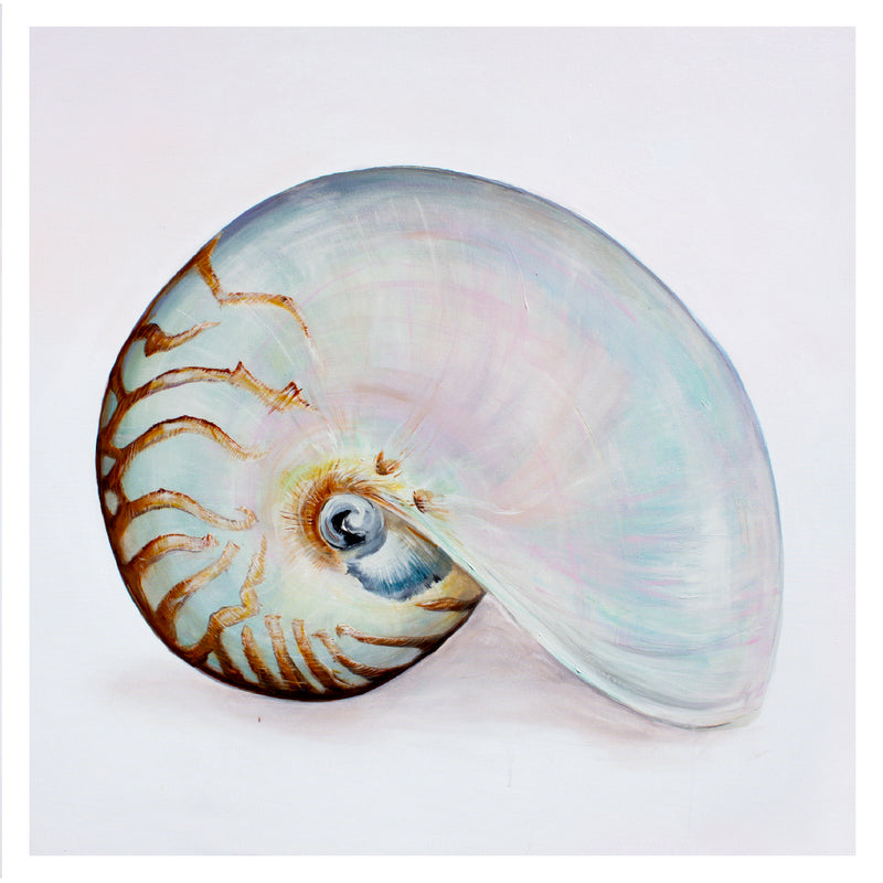 NAUTILUS SHELL – Gem Taylor Art